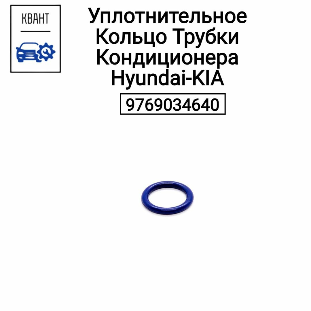 Уплотнительное кольцо трубки кондиционера Hyundai-KIA 9769034640