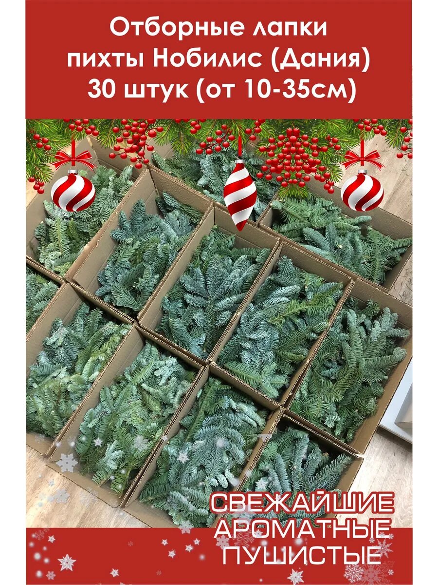 Нобилис натуральный, 30 штук