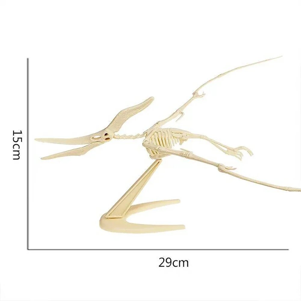 Набор для сборки скелета Тираннозавра Рекс Pterosaur