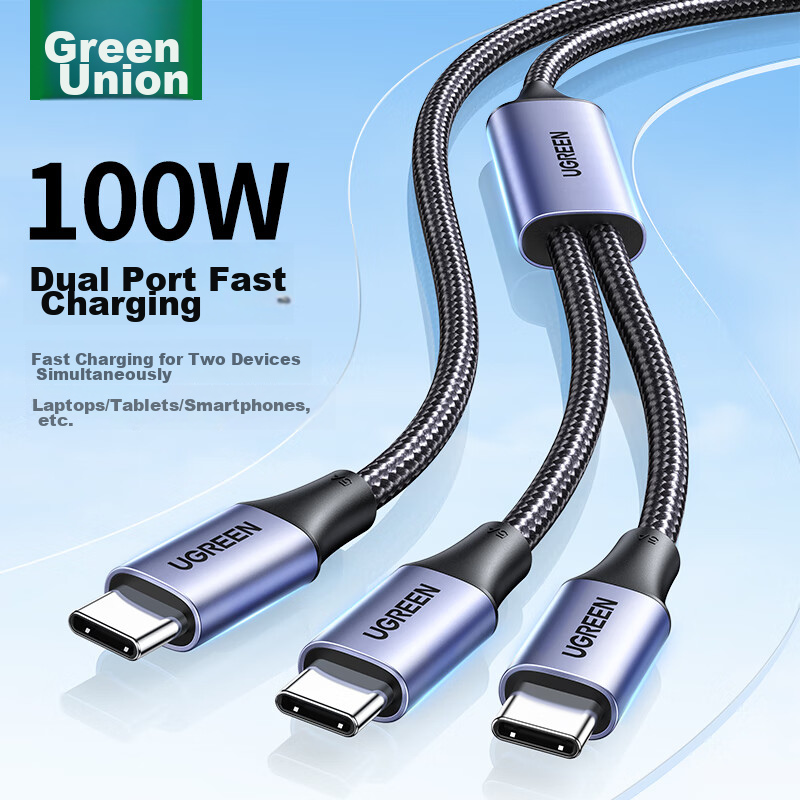 Lulian Two-In Dual-Head Type-C Data Cable, PD100W Fast Charging Cord, CTO2C Car Charger, Suitable for Laptops, Apple, Huawei 16/15 Phones, 1.5m