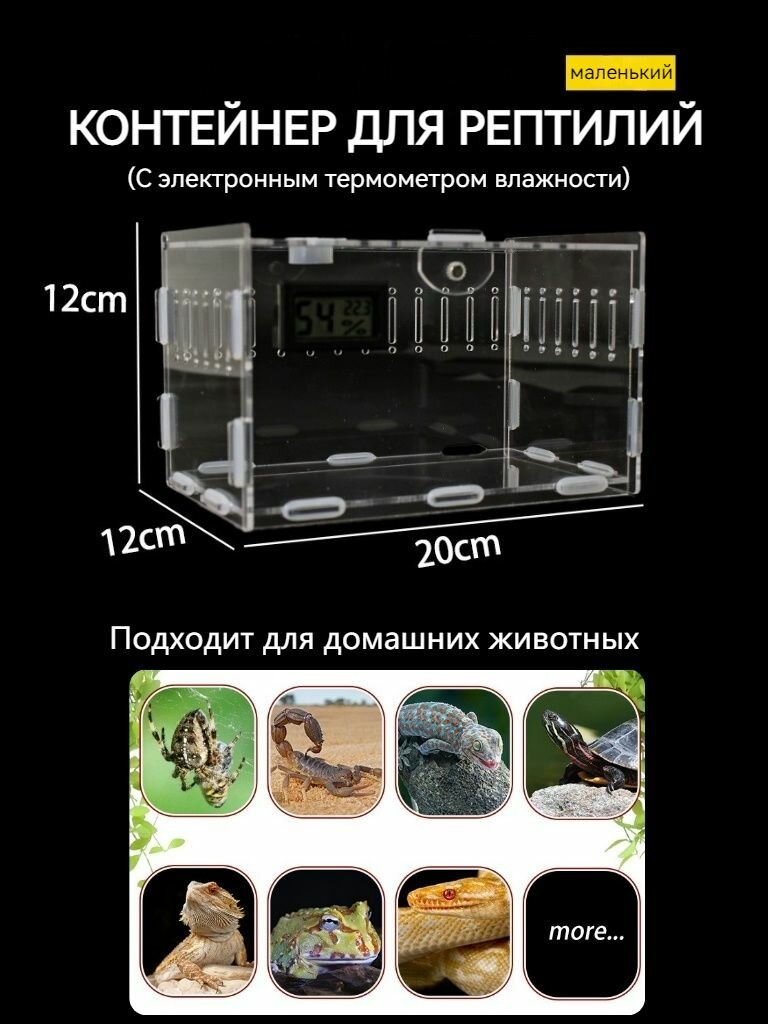 Коробка для разведения домашних животных, коробка для разведения ящериц, коробка для разведения змей