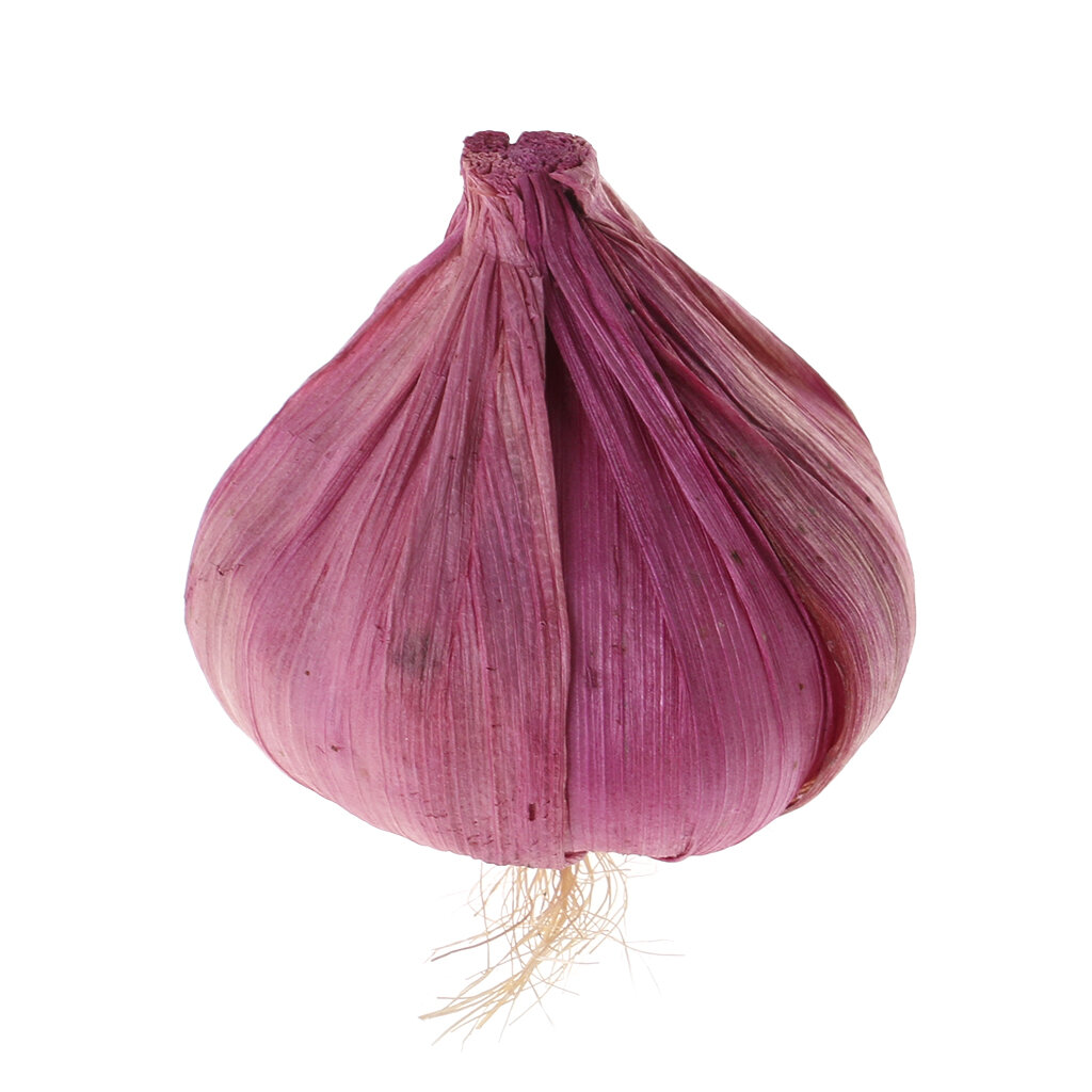 Жизненные искусственные фальшивые чесночные овощи модель вечеринка домашняя кухня декор дети P