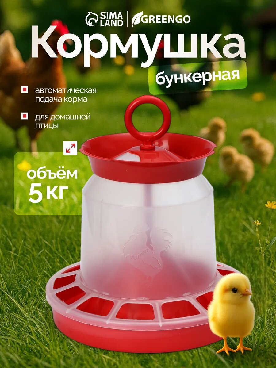 Кормушка бункерная для домашней птицы, пластик, 5 кг, красная