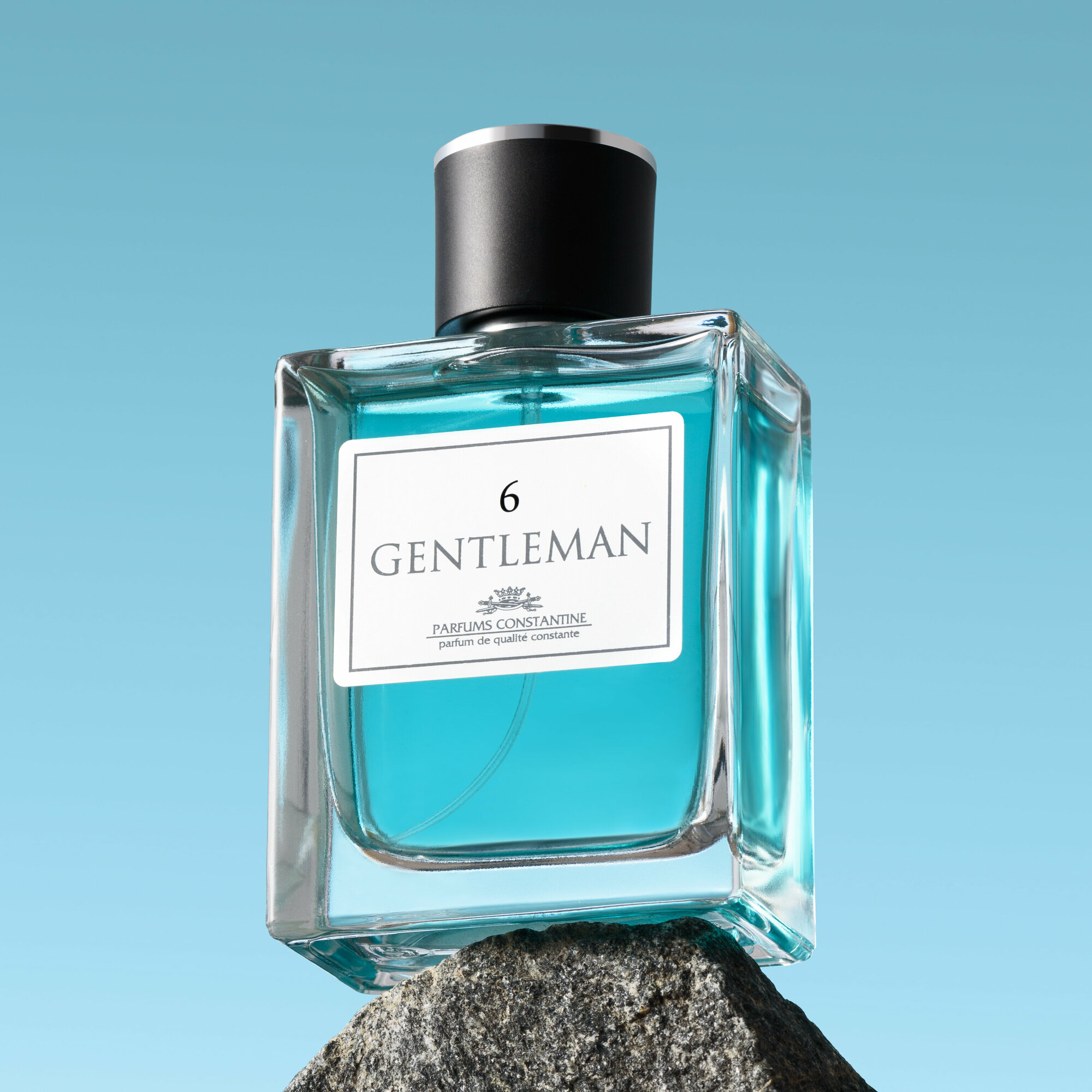 Туалетная вода для мужчин PARFUMS CONSTANTINE GENTLEMAN №6 100мл