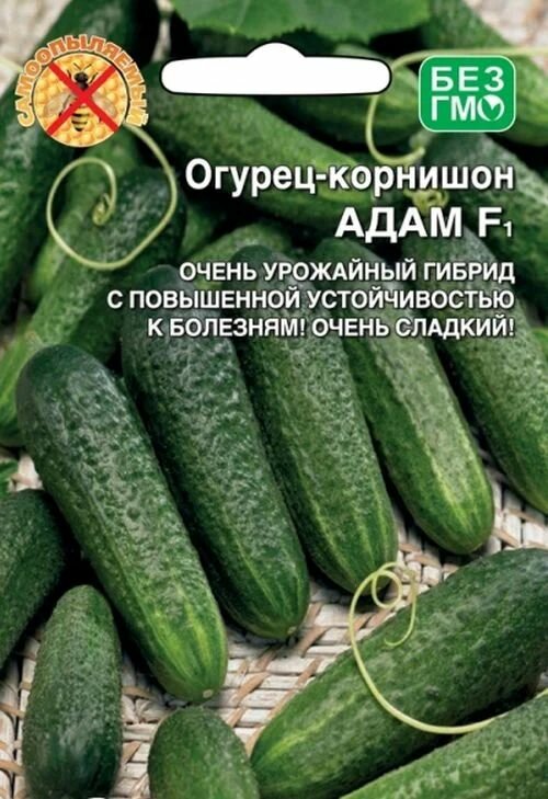 Коллекционные семена огурца Адам F1