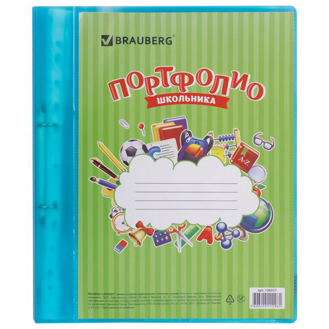 2 шт. Папка для портфолио школьника, 2 кольца, 20 файлов, пластик, полупрозрачный, синяя, BRAUBERG, 126557