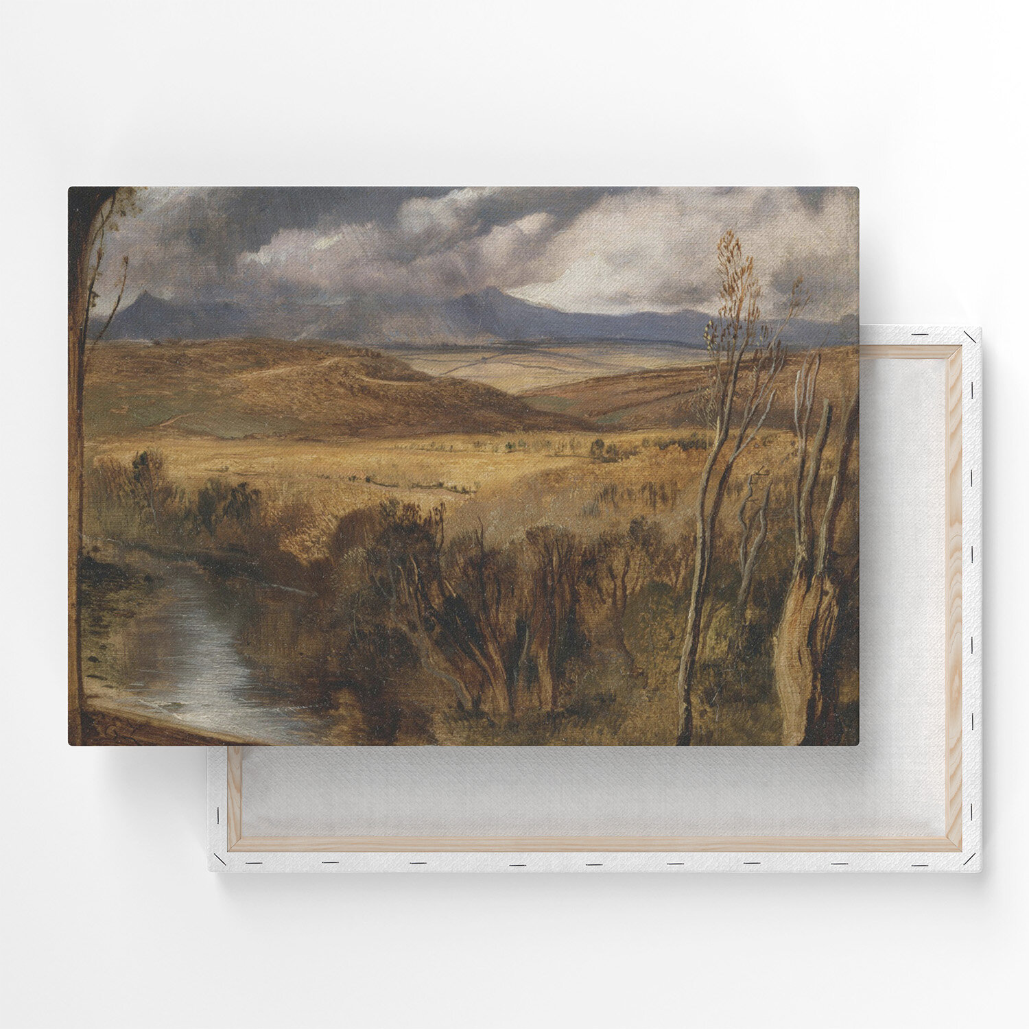 Картина на холсте, репродукция / Эдвин Ландсир - A Highland Landscape / Размер 30 x 40 см