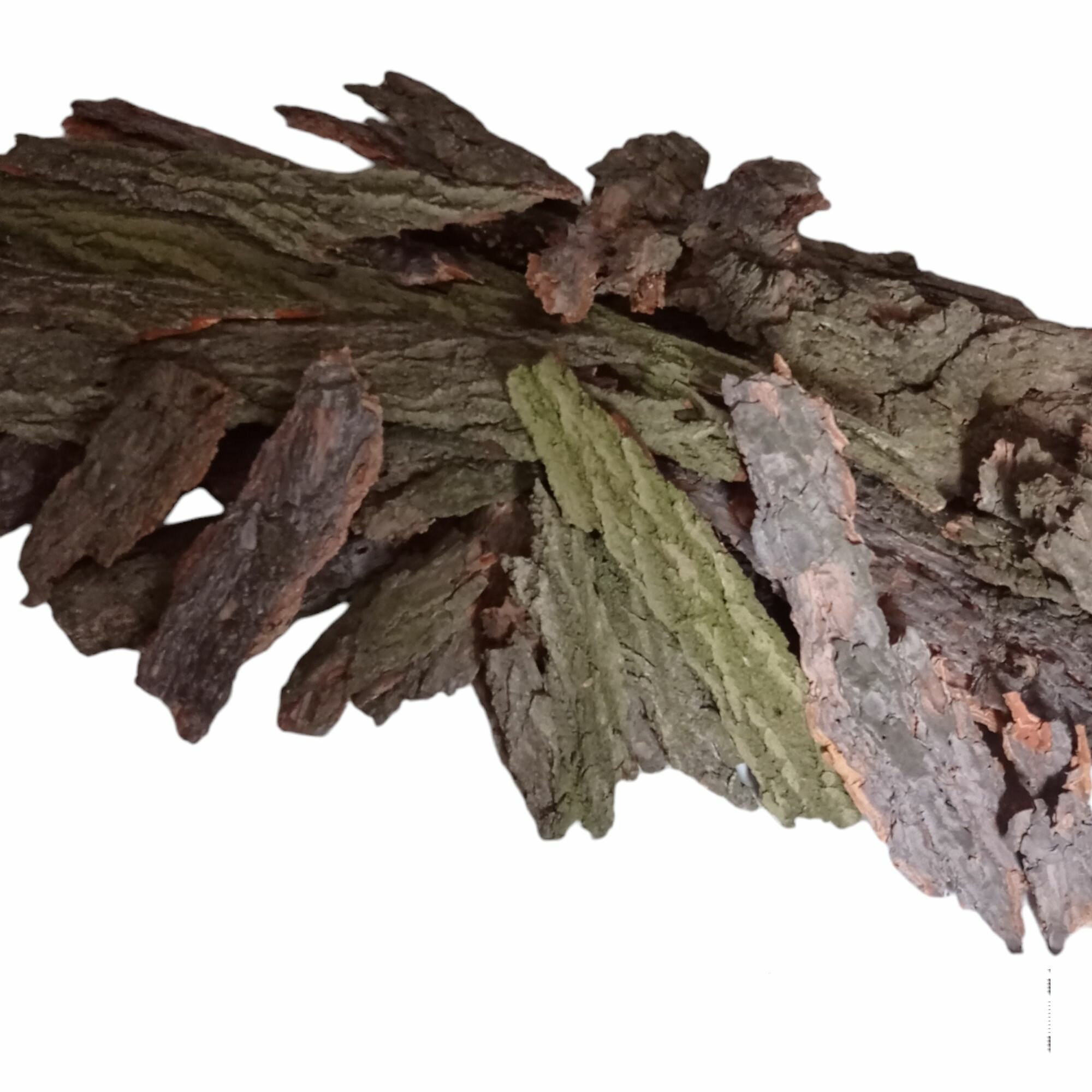 Кора сосны пластами 25л.