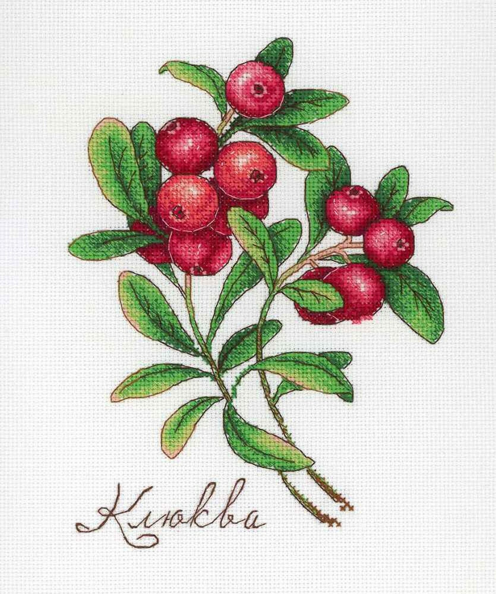 Вышивка Дары природы. Клюква 20x15 см.