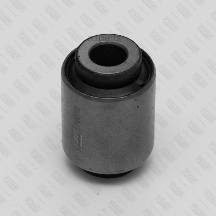 FIXAR FG0119 Сайлентбок задней цапфы нижний | зад |