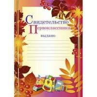 Свидетельство первоклассника. Свидетельства школьника