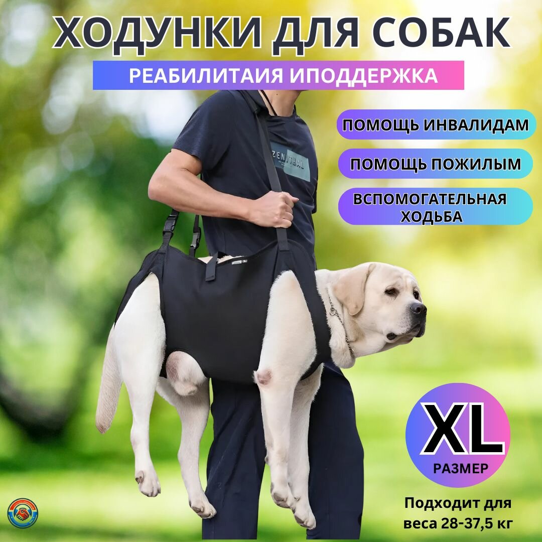 Ходунки для собак XL: поддержка лап для пожилых и травмированных питомцев, прочная ткань Оксфорд