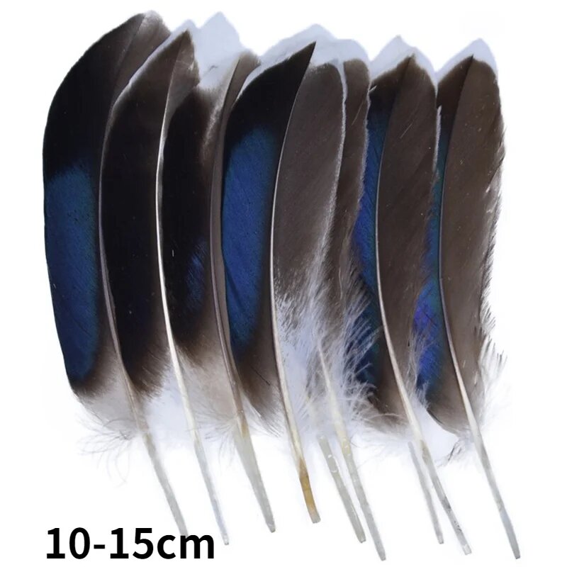 Натуральные перья фазана, павлина, орла, куриные перья, страусиные перья, набор из 20 штук Синий, 20Pcs, 10-15cm