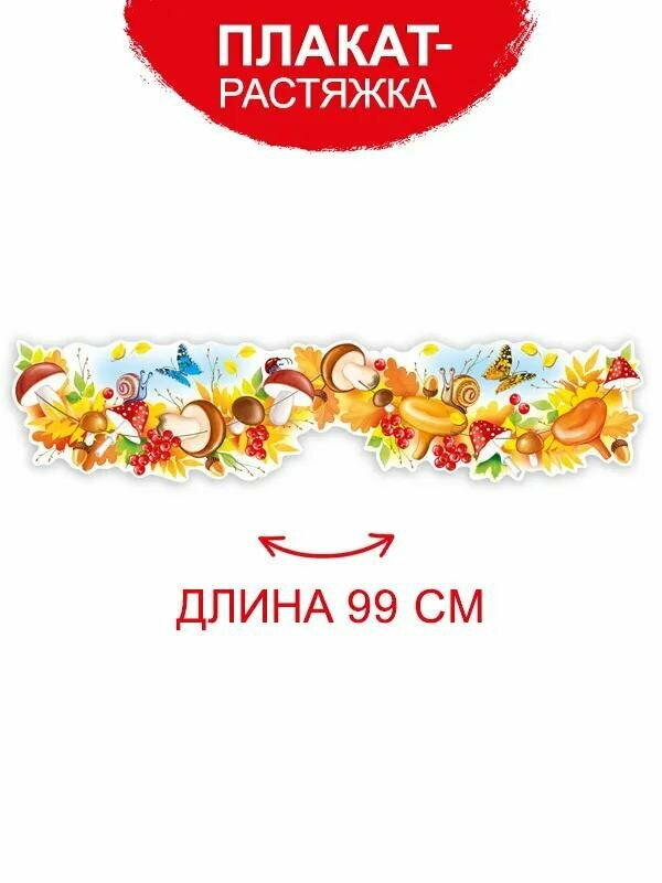 Плакат-растяжка Империя поздравлений "Грибы", 100х22,4 см, вырубка