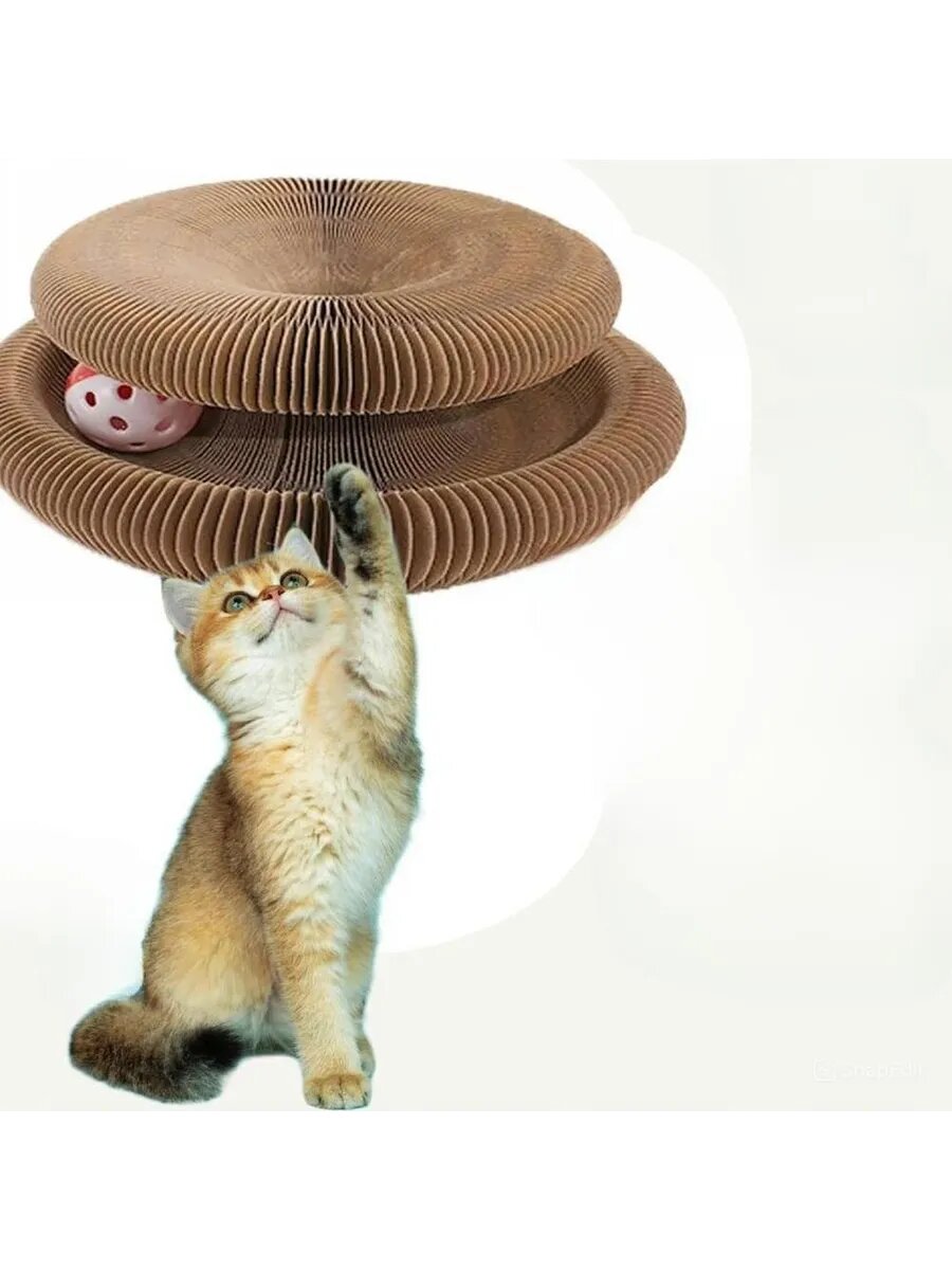 Стильная картонная лежанка с когтеточкой для кошек