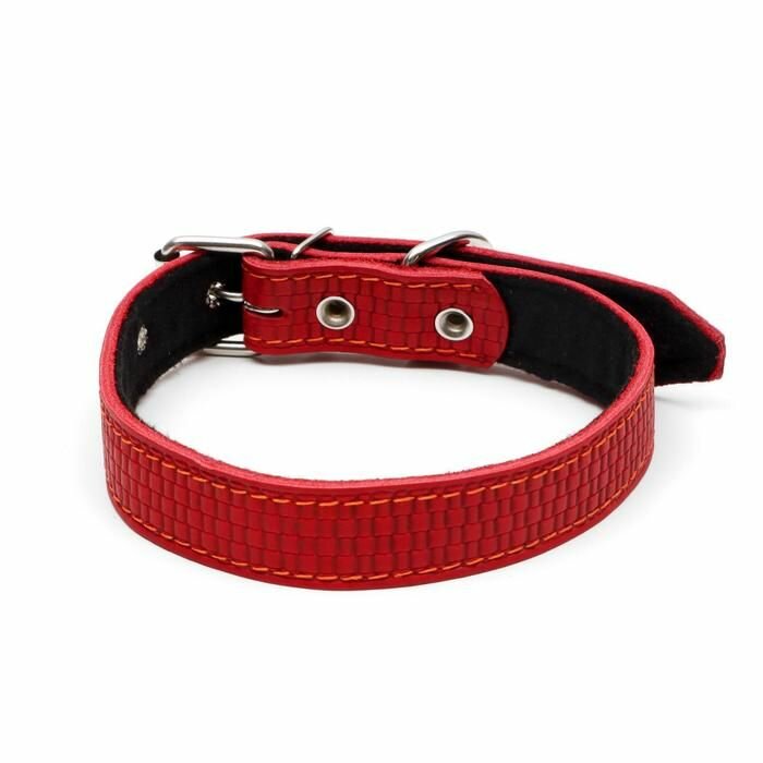Ошейник кожаный Пижон с тиснением на синтепоне, 65х3 см, ОШ 40-55 см, красный
