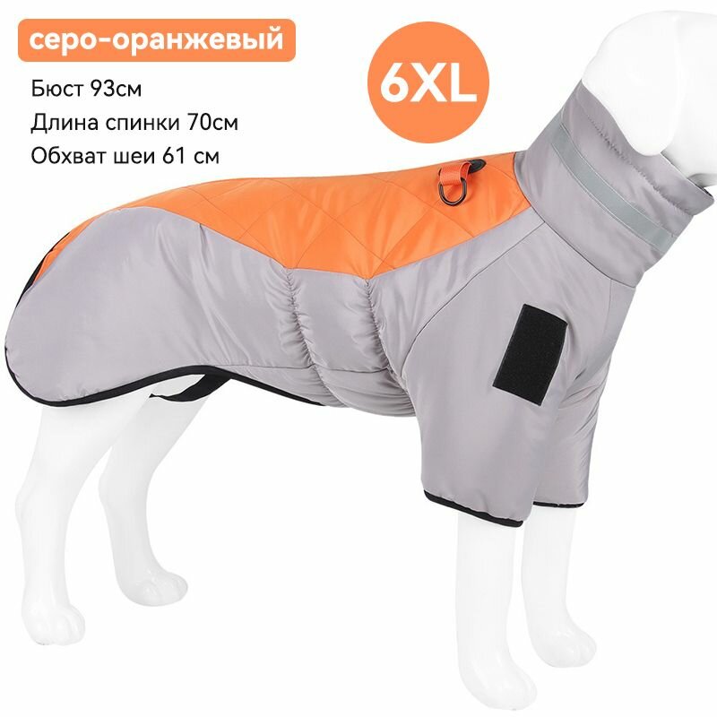 Одежда для животных