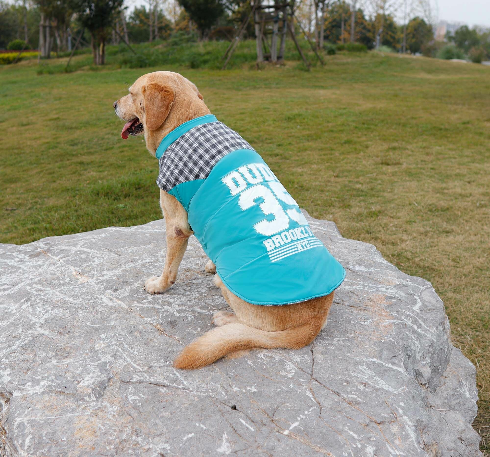 Жилетка"35" для собак средних и крупных пород, цвет голубой, размер 3XL, Rexy crew