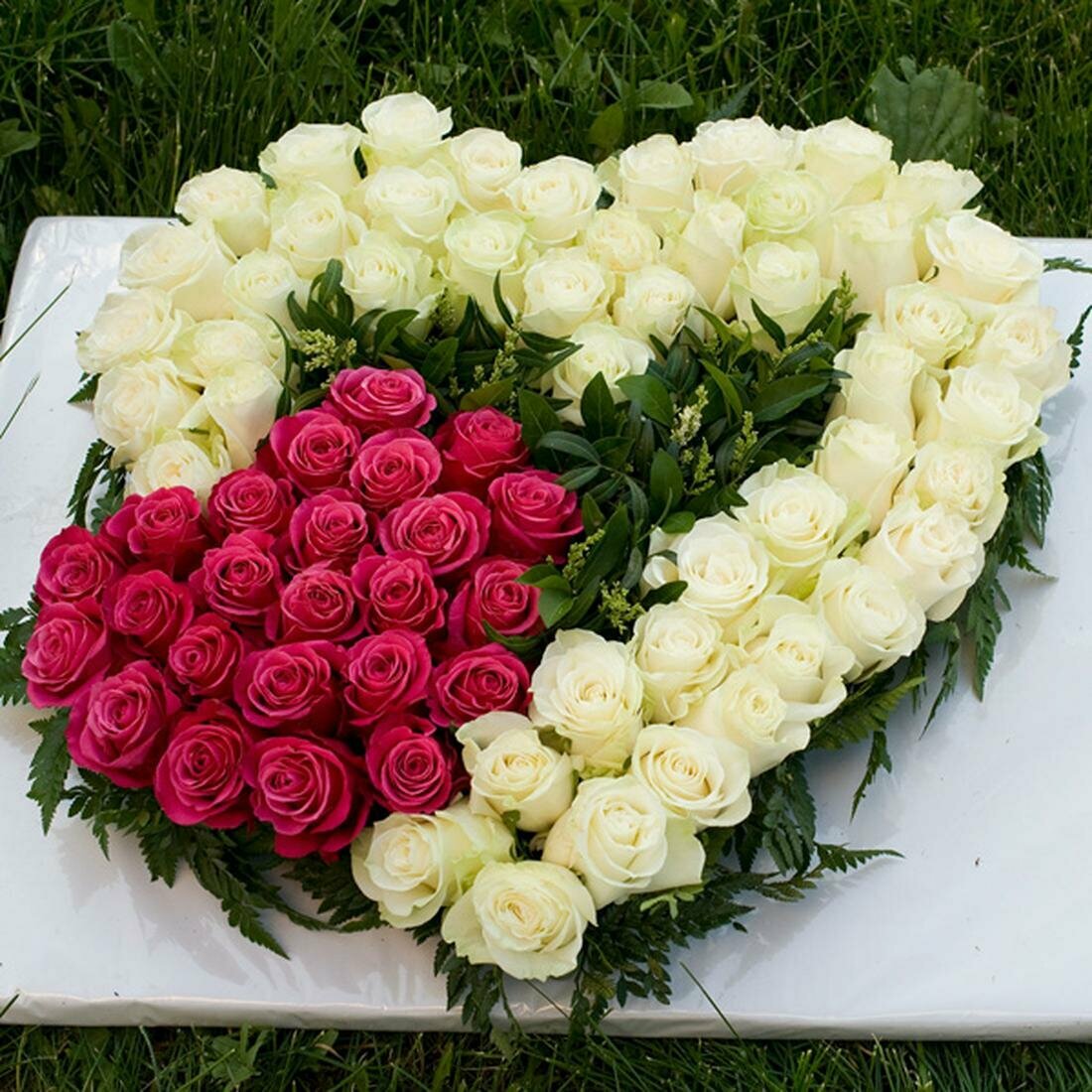 Сердце из роз Charlotte, 75 штук, в форме сердца, белые и розовые розы