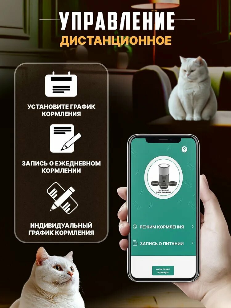 Автокормушка — фото 1