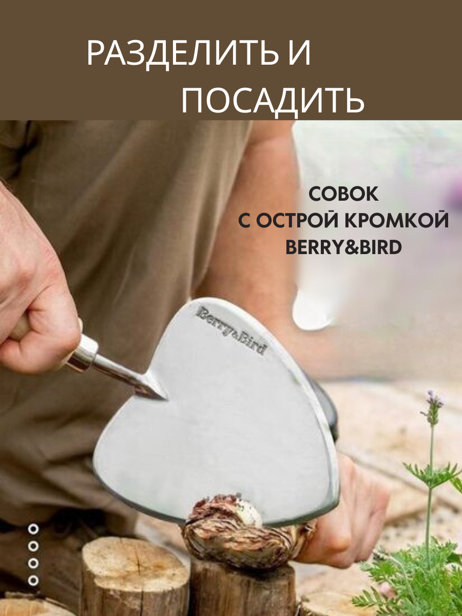 Совок садовый стальной для посадки, пересадки и деления многолетних растений Berry&Bird