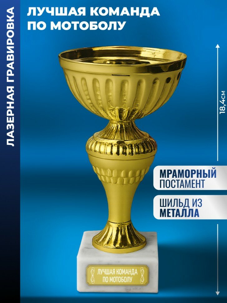 Кубок "Лучшая команда по мотоболу" (18,4 см)