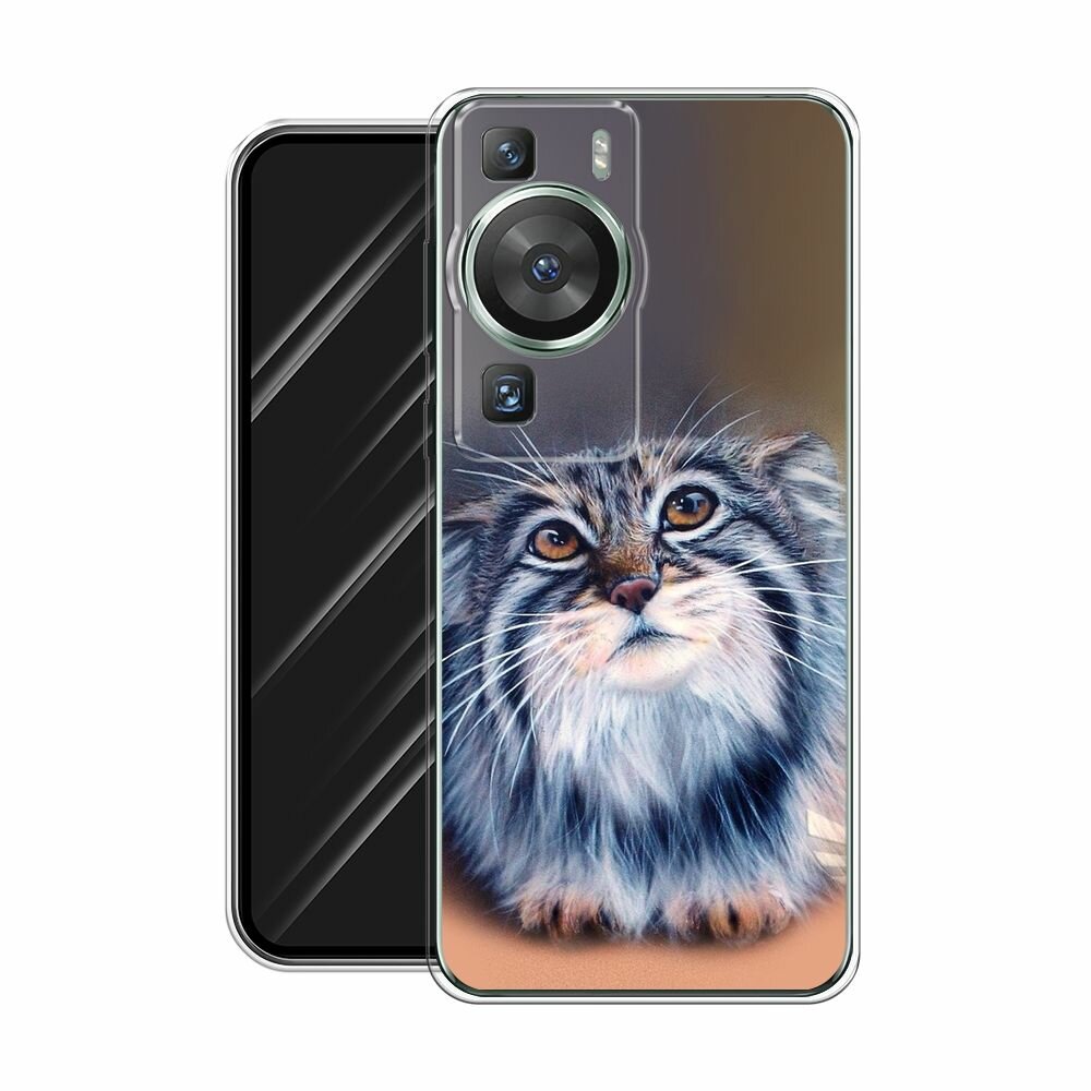 Чехол на Huawei P60/P60 Pro / Хуавей P60/P60 Про с принтом "Кот манул 2" — фото 1