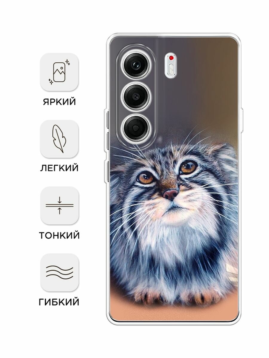 Чехол на Tecno Camon 40 Pro / Текно Камон 40 Про с принтом "Кот манул 2" — фото 1