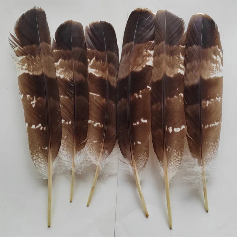 Натуральные перья орла для поделок 10 шт Коричневый, 25-30cm