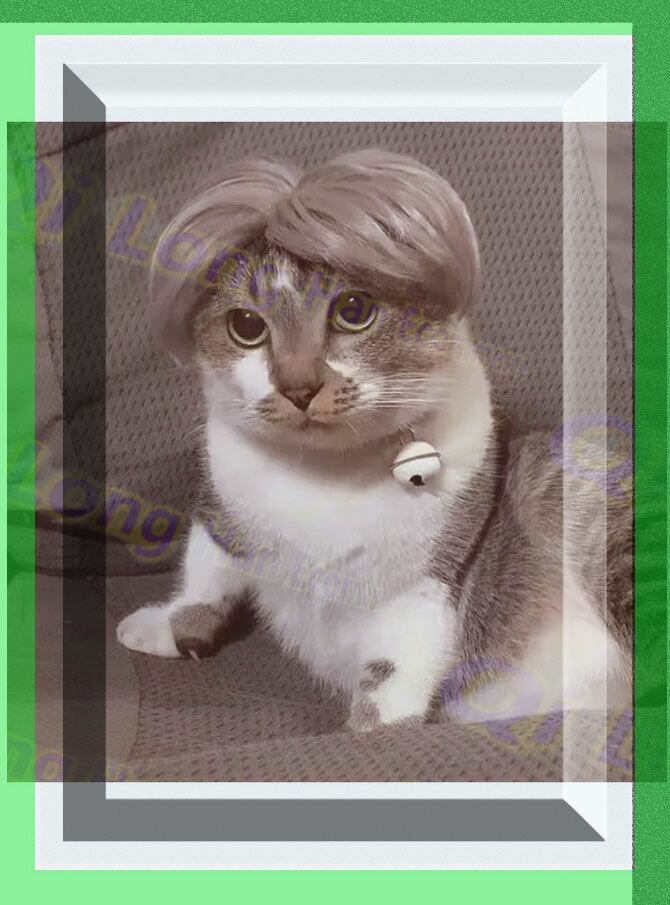 Кошачий парик, шерсть домашней кошки, собачья бахрома, реалистичная шерсть, забавный серый парик