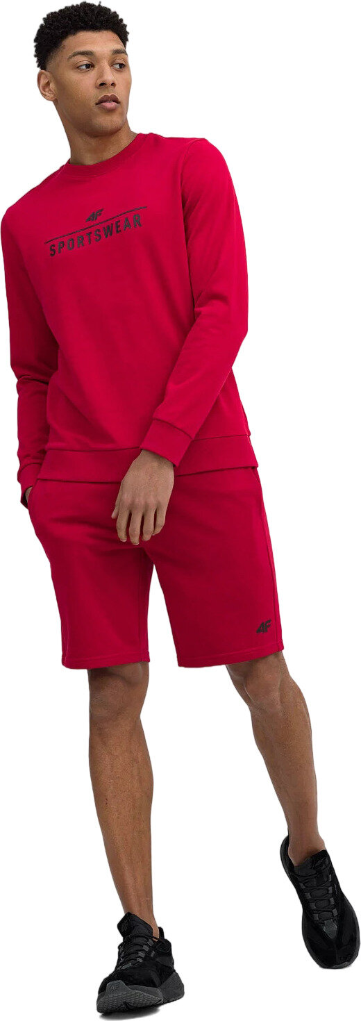 Шорты SHORTS CAS