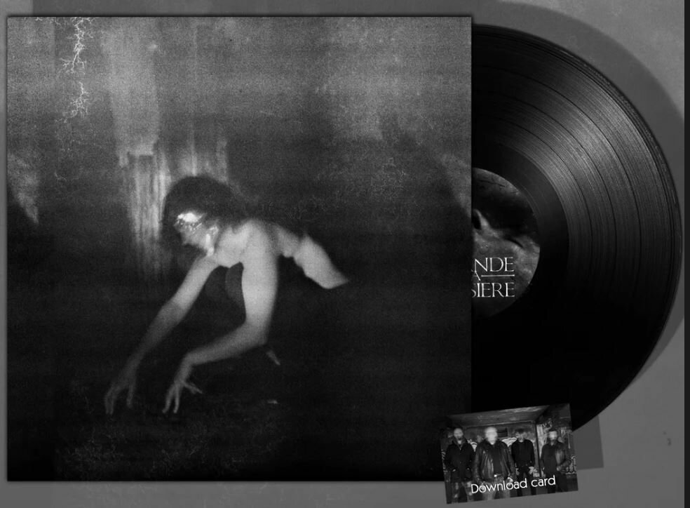 Виниловая пластинка Demande A La Poussiere - Quietude Hostile LP