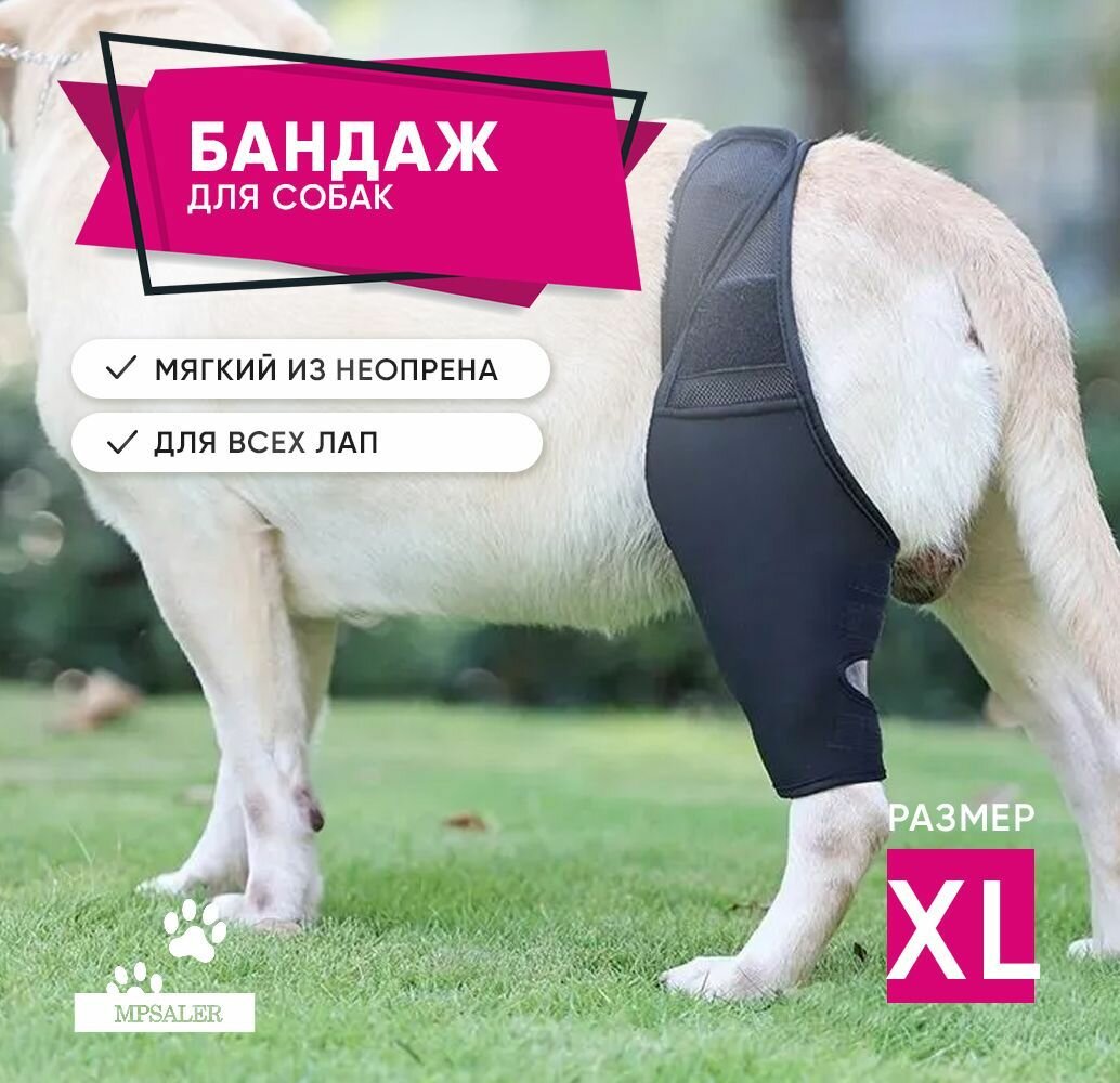 Бандаж для собак на заднюю и переднюю лапу. На локтевой и коленный сустав. Размер XL