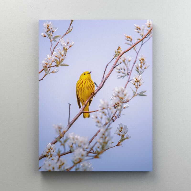 Интерьерная картина на холсте "Птица - желтая древесница" размер 22x30 см