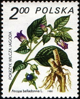 (1980-043) Марка Польша "Белладонна" Лекарственное растение III