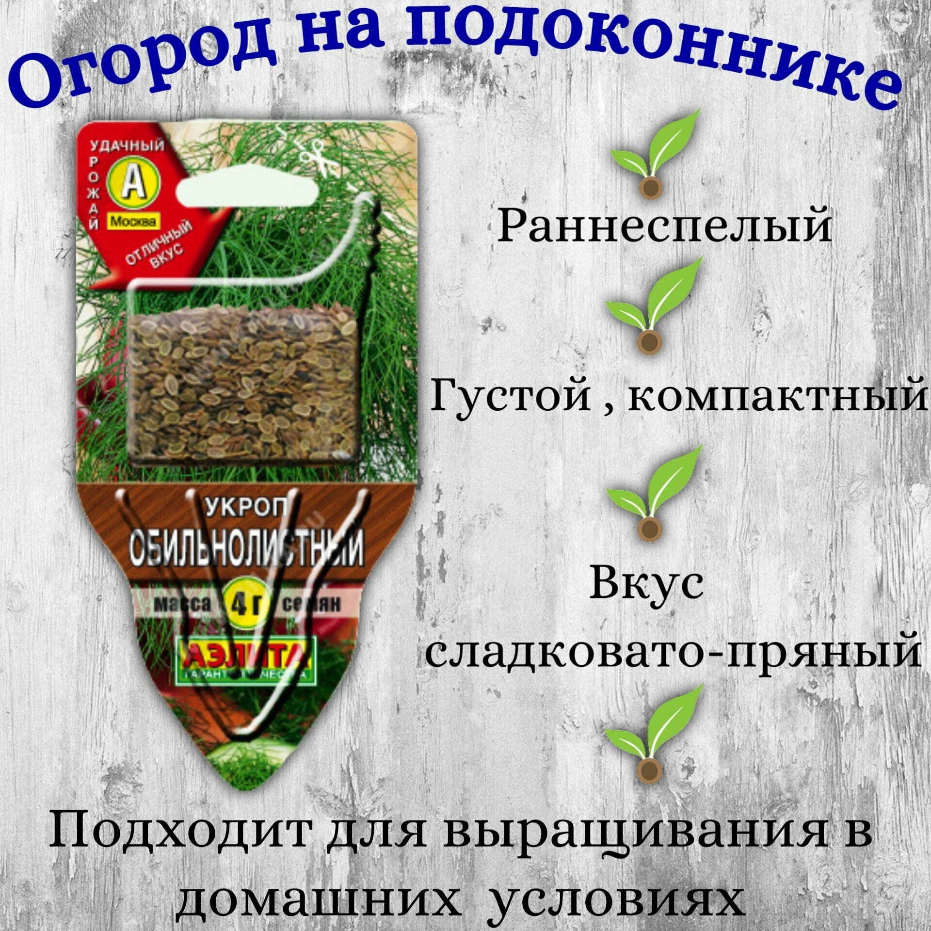 Семена укроп обильнолистный 4 г (сеялка) , Аэлита , подходит для комнатного выращивания