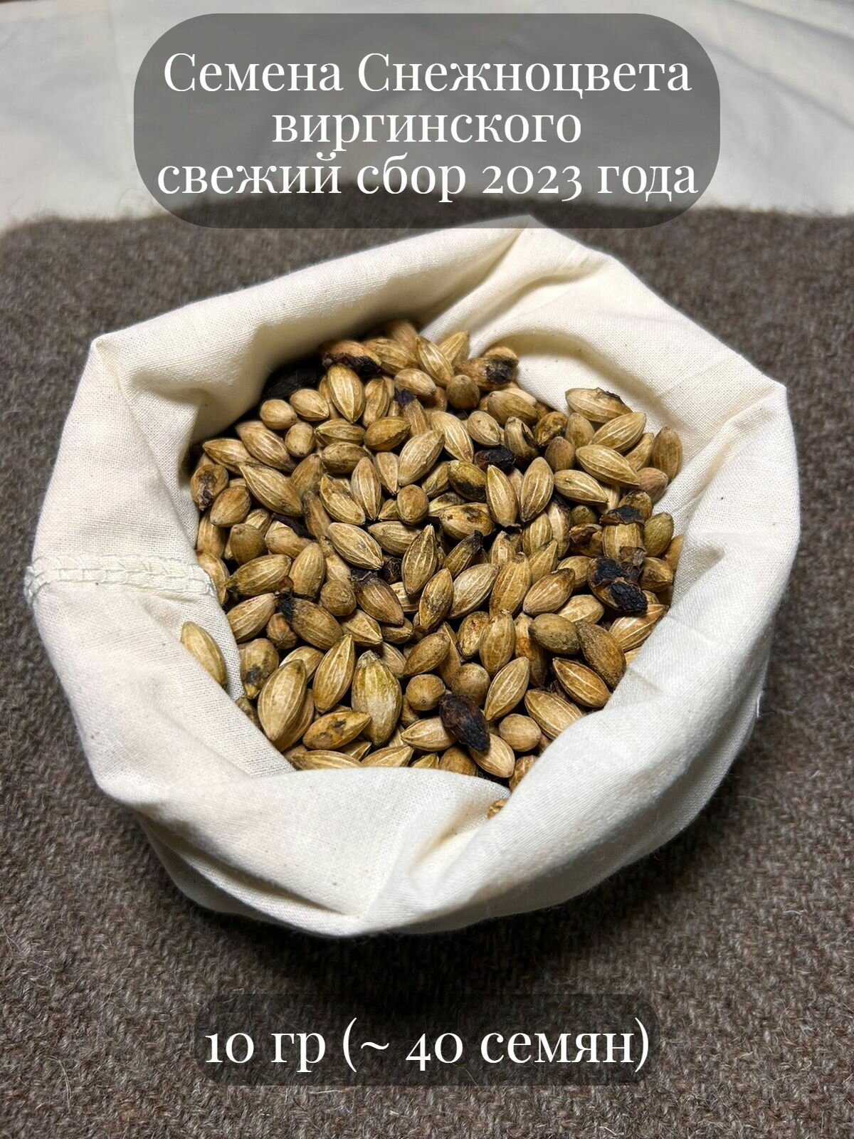 Семена Снежноцвета виргинского или хионантуса, 10 грамм (примерно 40 шт)