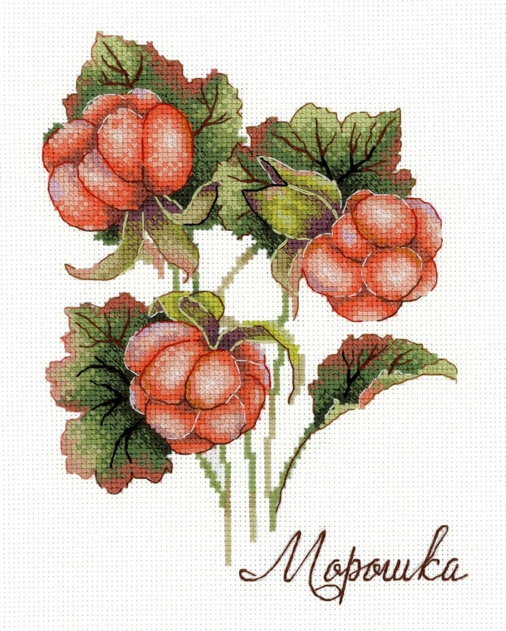 Вышивка Частичная, "Дары природы. Морошка" 18 Aida М. П. Студия (Россия) арт. НВ-815