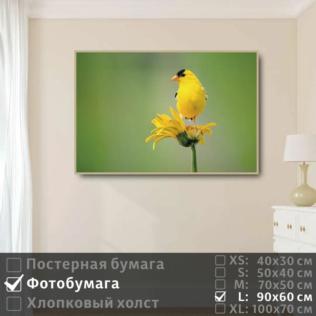 Постер на фотобумаге Птичка Желтая Сидит На Цветке 90х60 см ПолиЦентр