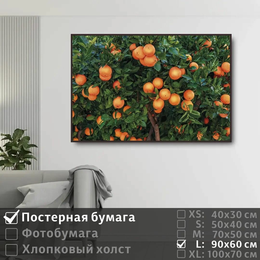 Постер на стену Испанские Апельсины 90х60 см ПолиЦентр