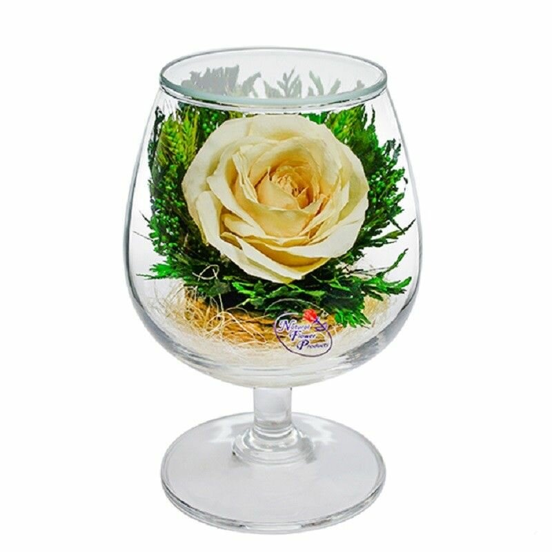 Натуральные цветы в стекле, вакуум 07.09