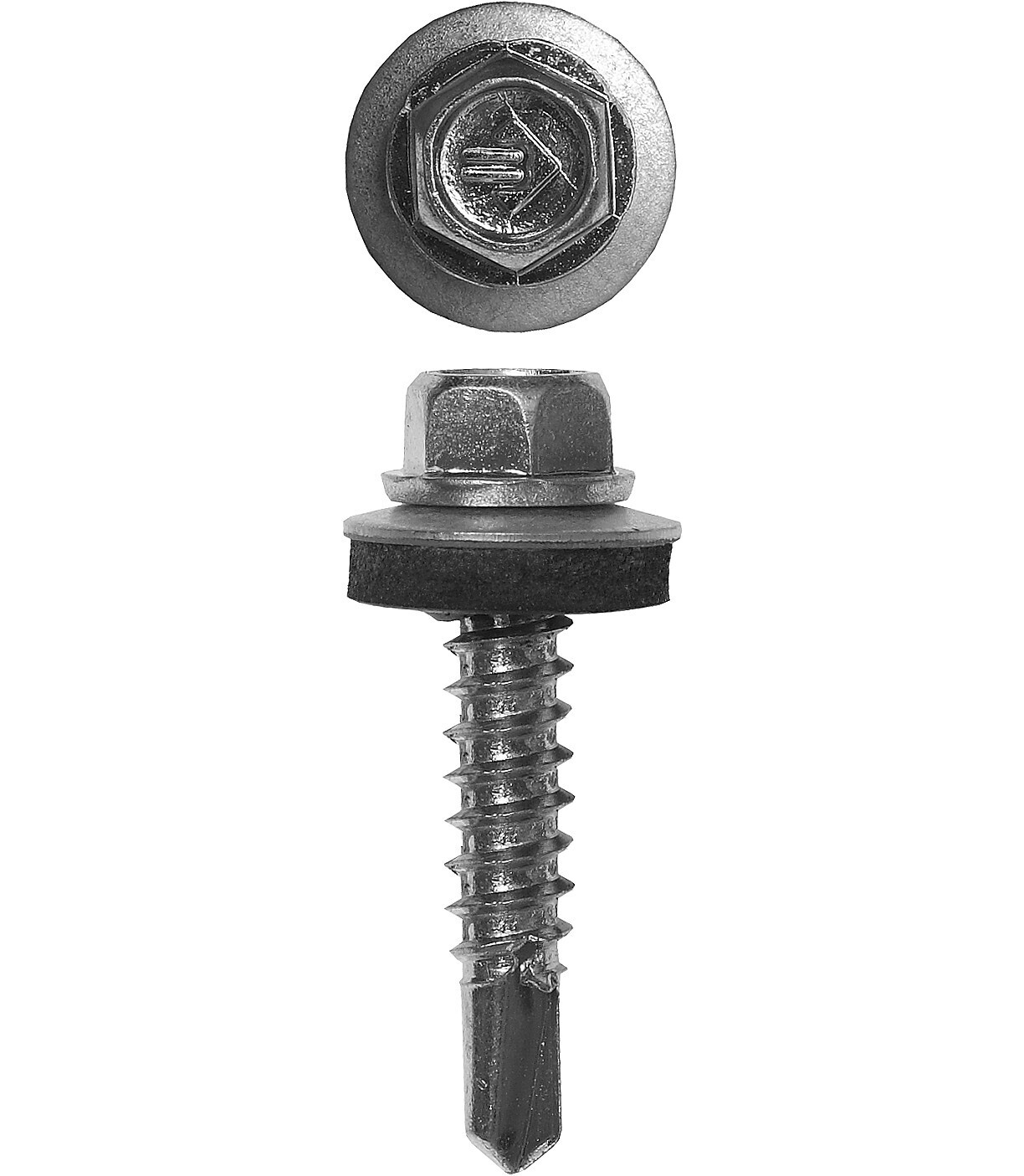 ЗУБР СКМ, 32 х 5.5 мм, цинк, 1600 шт, кровельный саморез, Профессионал (4-300310-55-032)