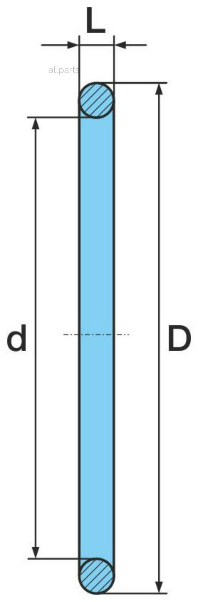 BPW 0256780000 кольцо уплотнительное !(р)ступицы 100x3\BPW ECO 10-12t