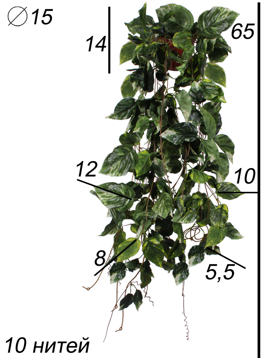 Искусственная лиана Holodilova, в настенном кашпо, длина 65см, зеленая