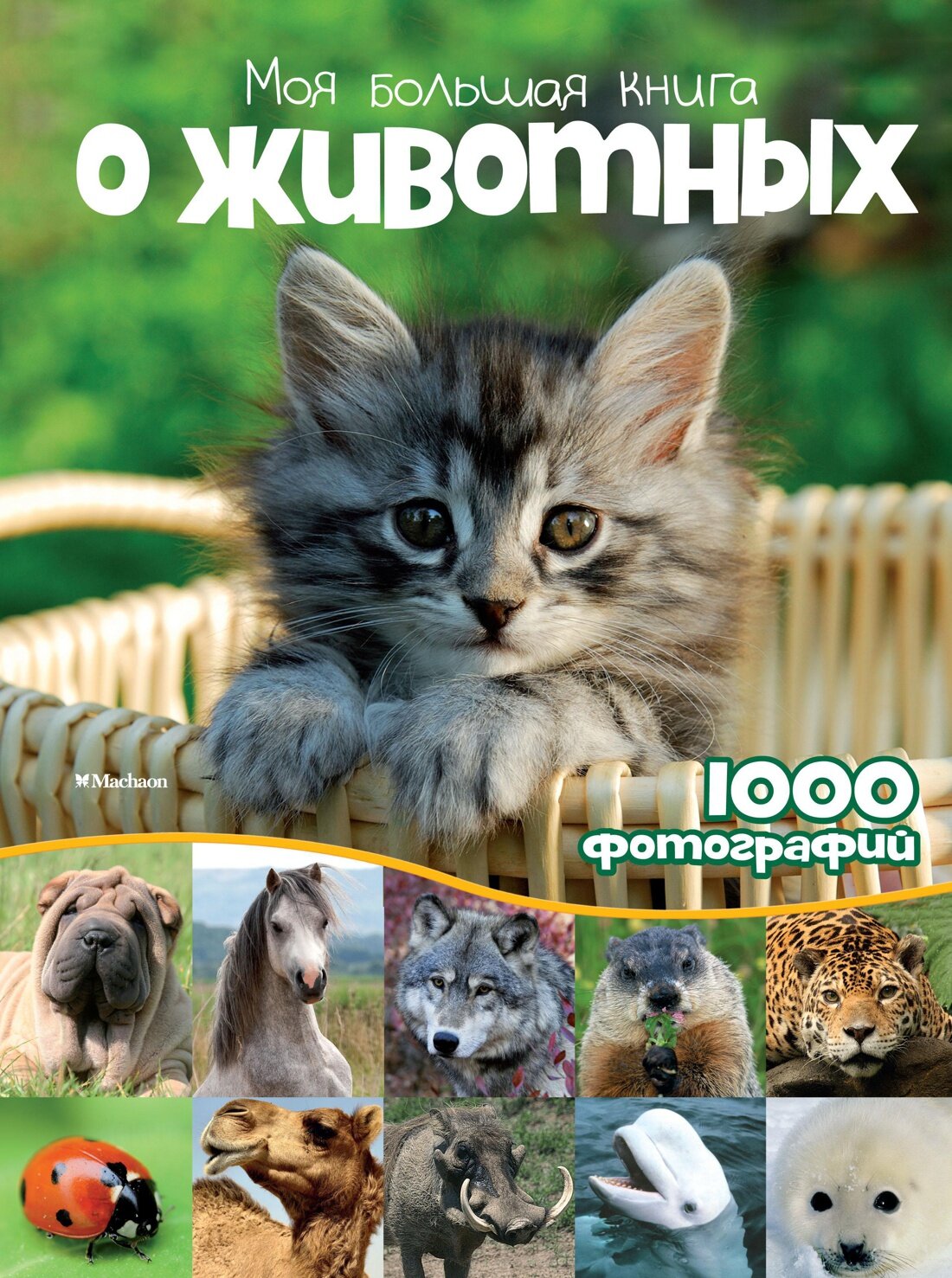Моя большая книга о животных / Коэ Н.