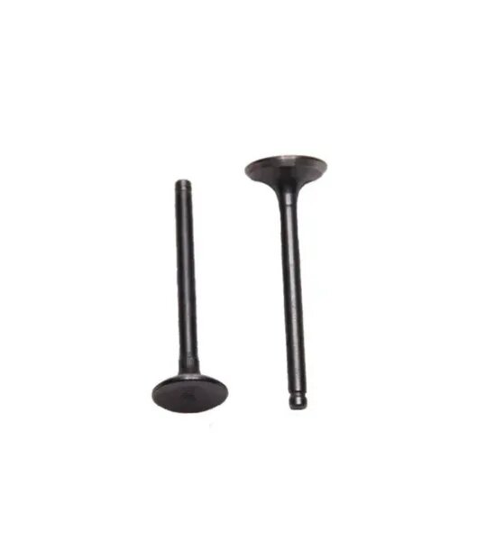 Клапаны (впуск/выпуск) 139QMB (GY6) 139FMB DELTA, ALPHA, ATV50 (d=16/18,5) (l=69/69) OEM PART