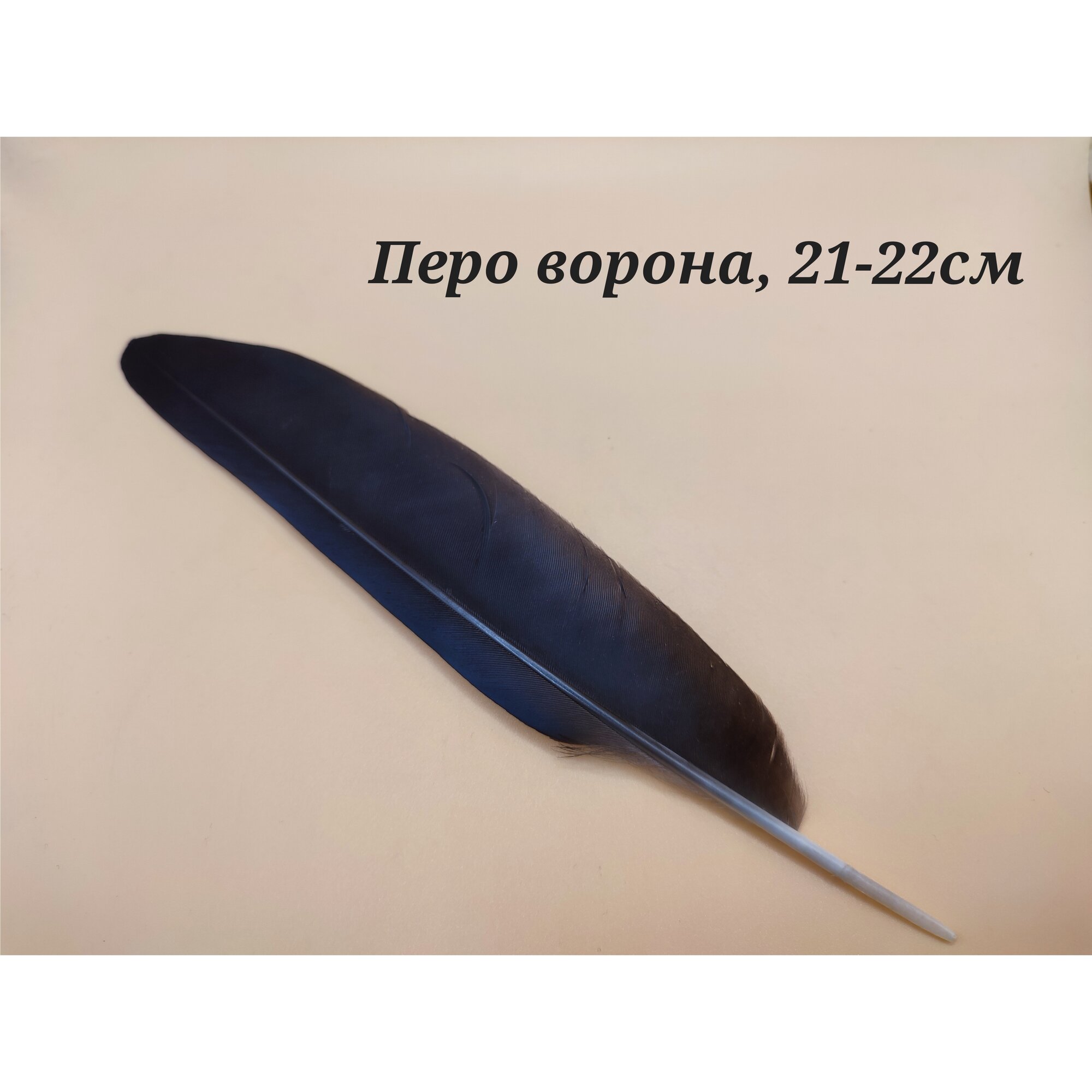 Настоящее перо ворона, 21-22см. Натуральные перья