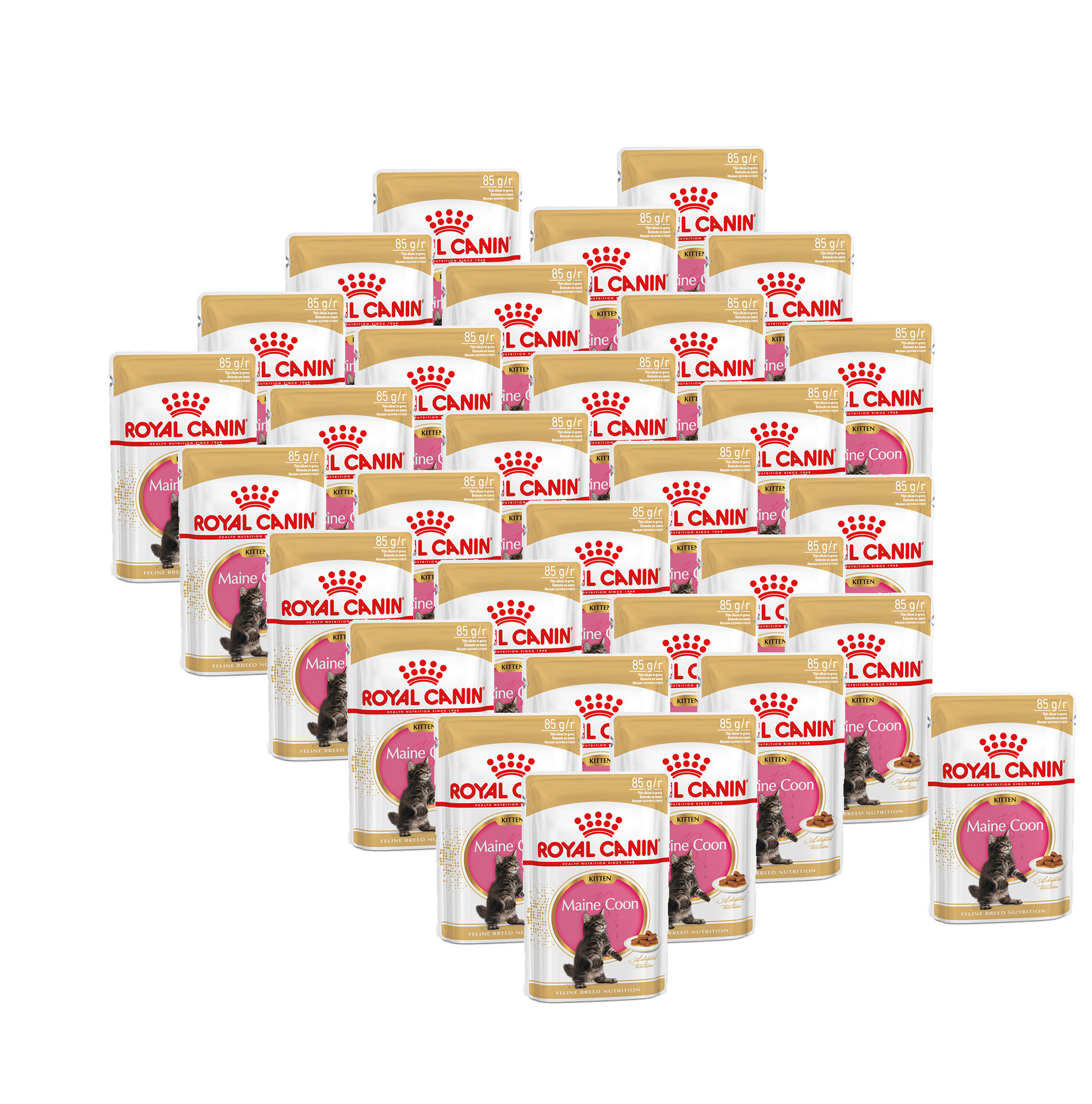 Royal Canin Maine Coon Kitten влажный корм для котят породы мейн-кун до 15 месяцев, в соусе, в паучах - 85 г x 32 шт