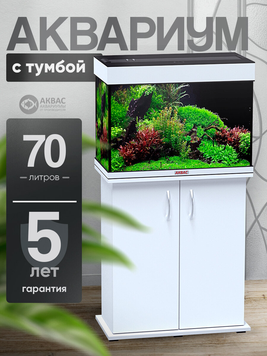 Аквариум 70 литров с тумбой крышкой и освещением (61*31*46 см) Аквас