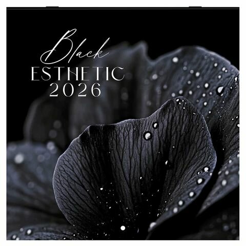 4 шт. Календарь настенный перекидной 2026 г, BRAUBERG, 12 листов, 28,5х28,5 см, "Black esthetic", 116927